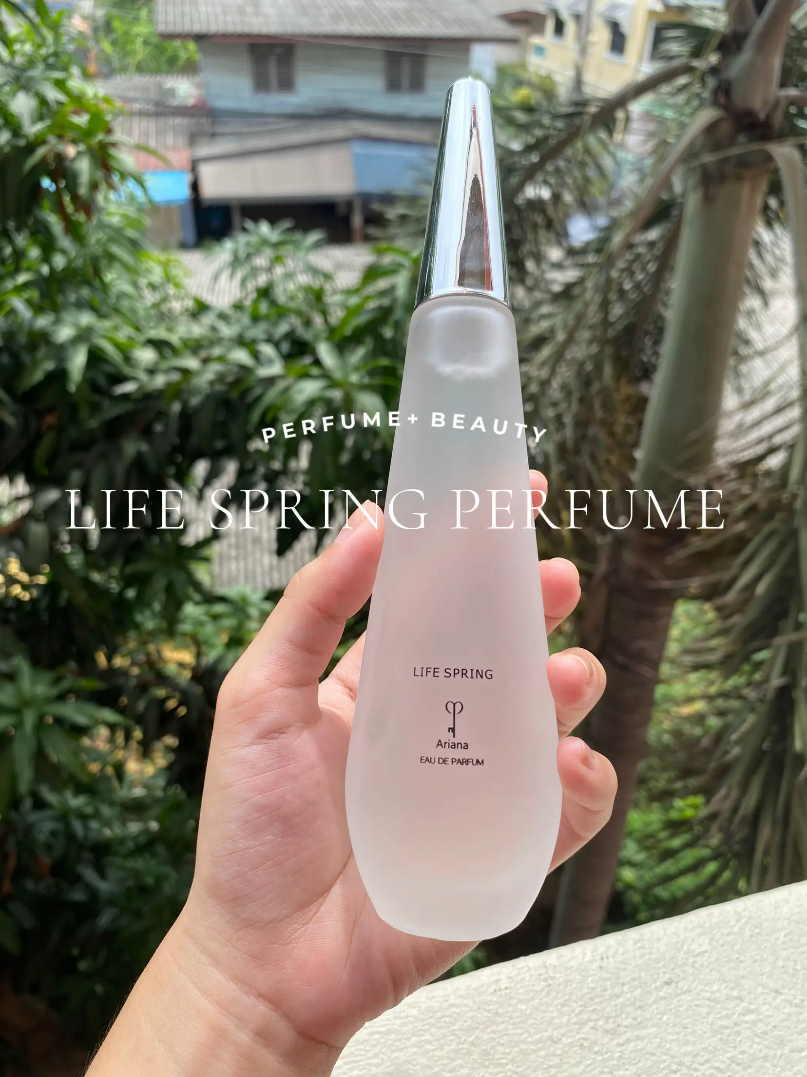 ป้ายยา น้ำหอม LIFE SPRING PERFUME 🦋 | แกลเลอรีที่โพสต์โดย 🔮หาทำไปเรื่อย ...