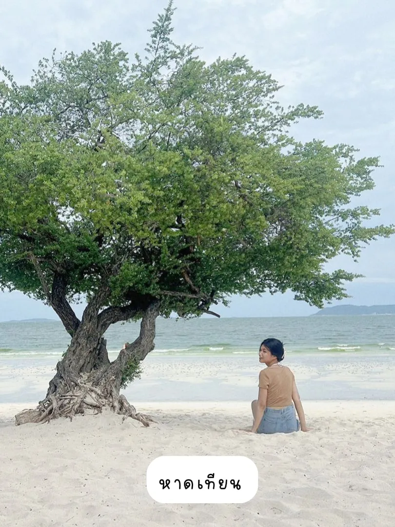 Travel to the island of a million in a budget of 2 tangled!! | Gallery ...