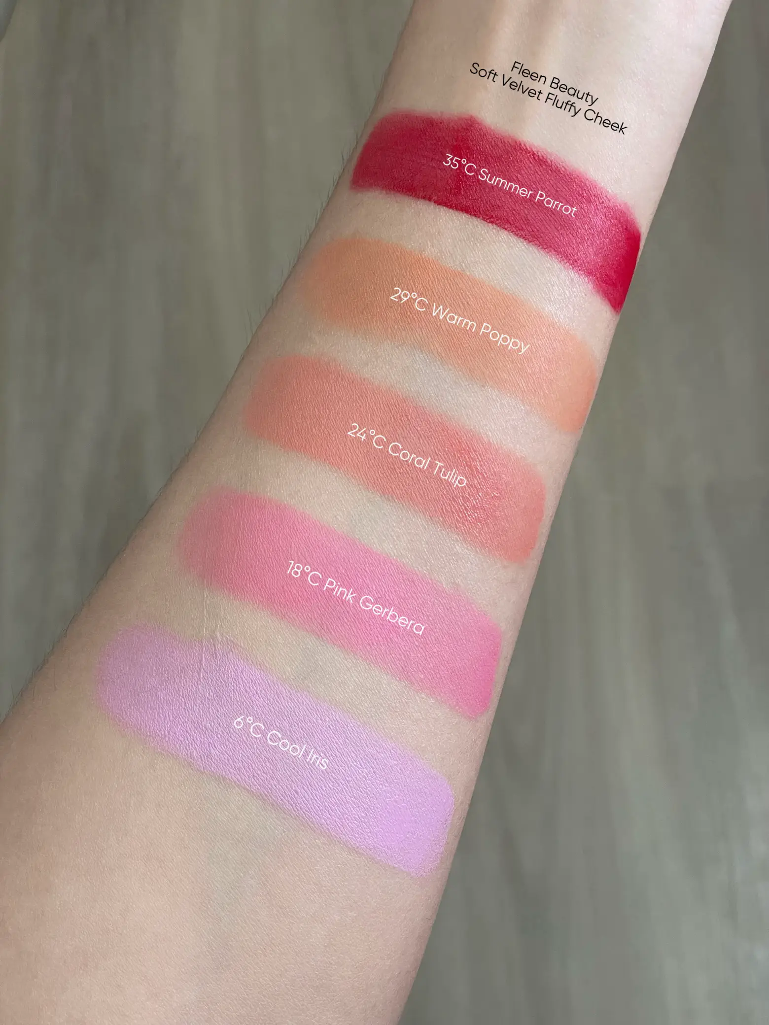 รีวิวบลัช Fleen Beauty Soft Velvet Fluffy Cheek 💐 | แกลเลอรีที่โพสต์โดย ...