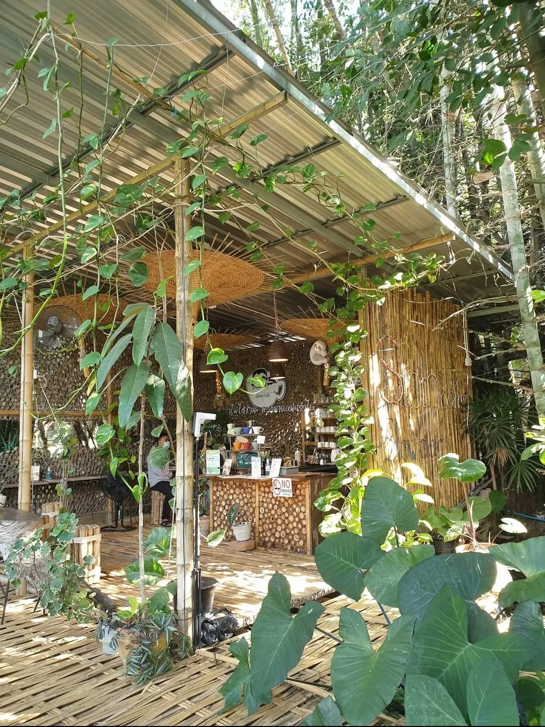 Thai Tea Everyday at Sloth Suanphueng | แกลเลอรีที่โพสต์โดย Thaiteaeveryday | Lemon8