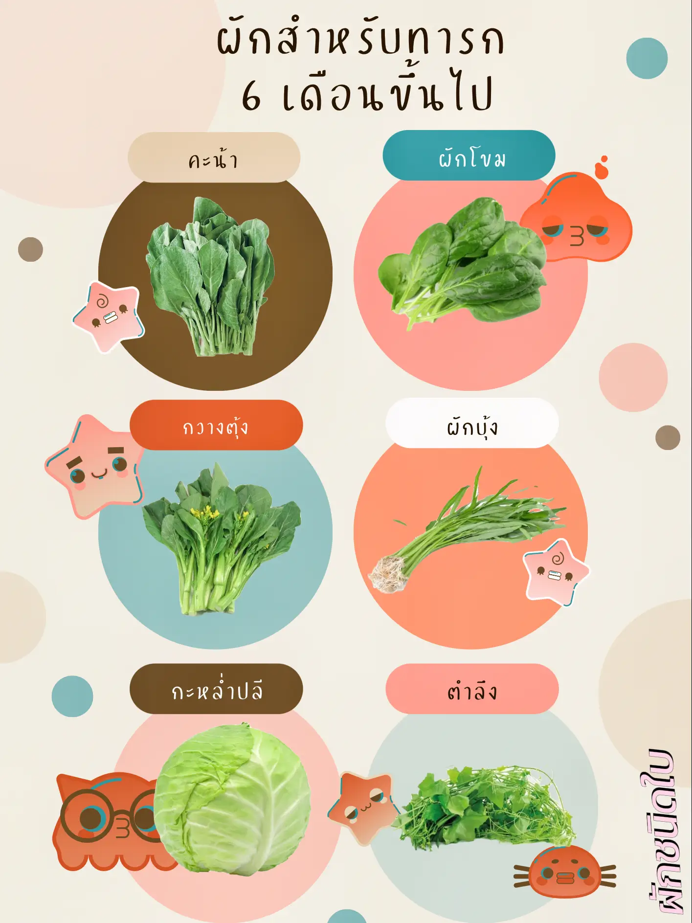 ผักสำหรับทารก 6 เดือนขึ้นไป🥬🌽🥕 แกลเลอรีที่โพสต์โดย Mama Nathee Lemon8