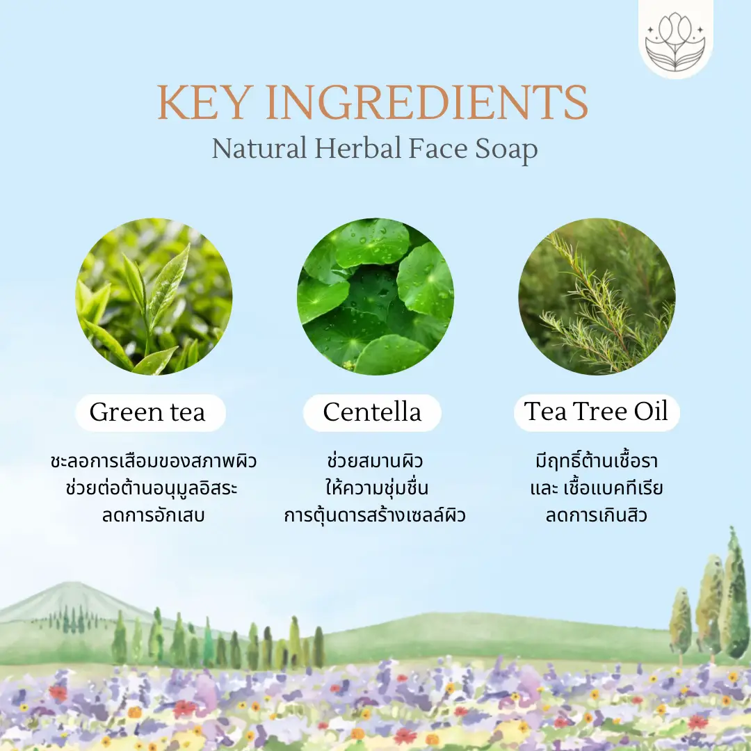 9 KEY INGREDIENTS Natural Herbal Face Soap 🥚🌲 | Gallery posted by ...