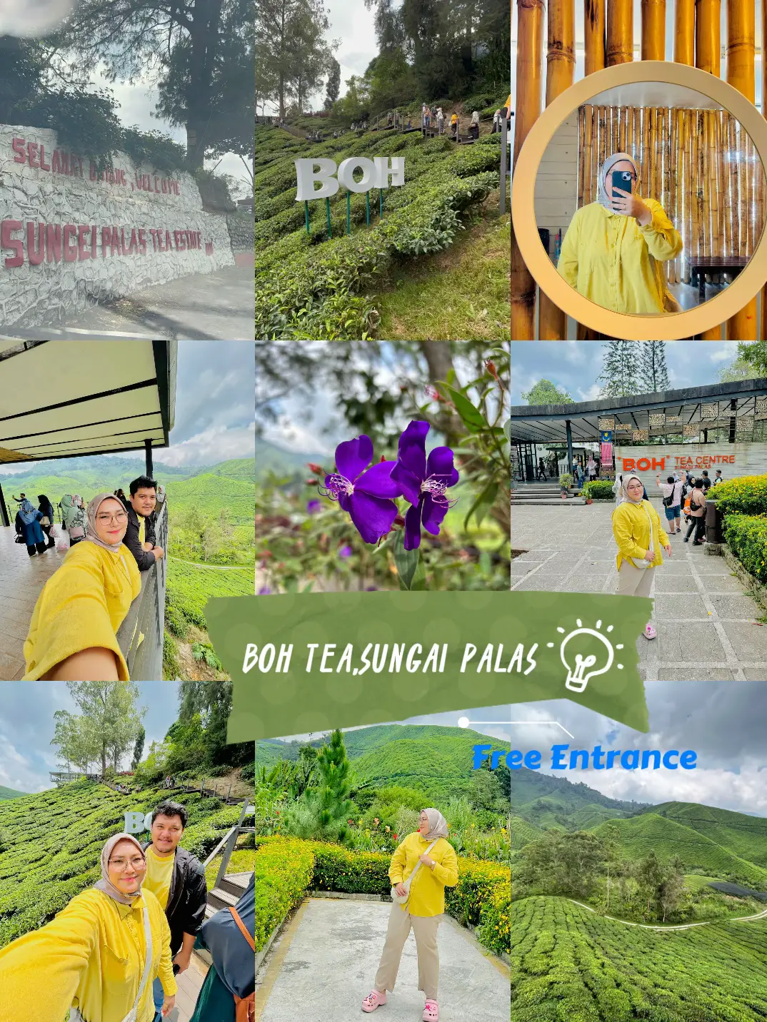 Trip 3D2N at Cameron Highlands | Galeri disiarkan oleh ashhjmi | Lemon8
