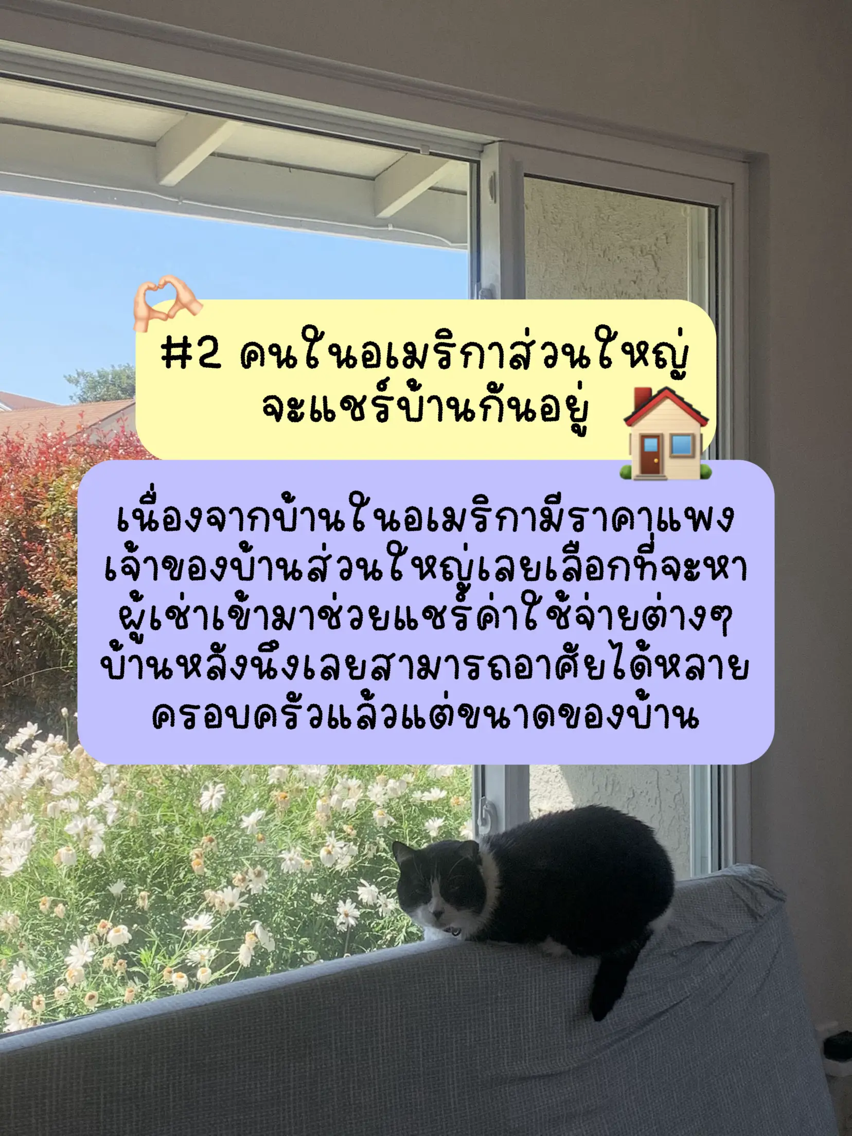 6 Culture shocks! ที่ฉันเจอในอเมริกา🥹🇺🇸📎 | แกลเลอรีที่โพสต์โดย Sapunn | Lemon8