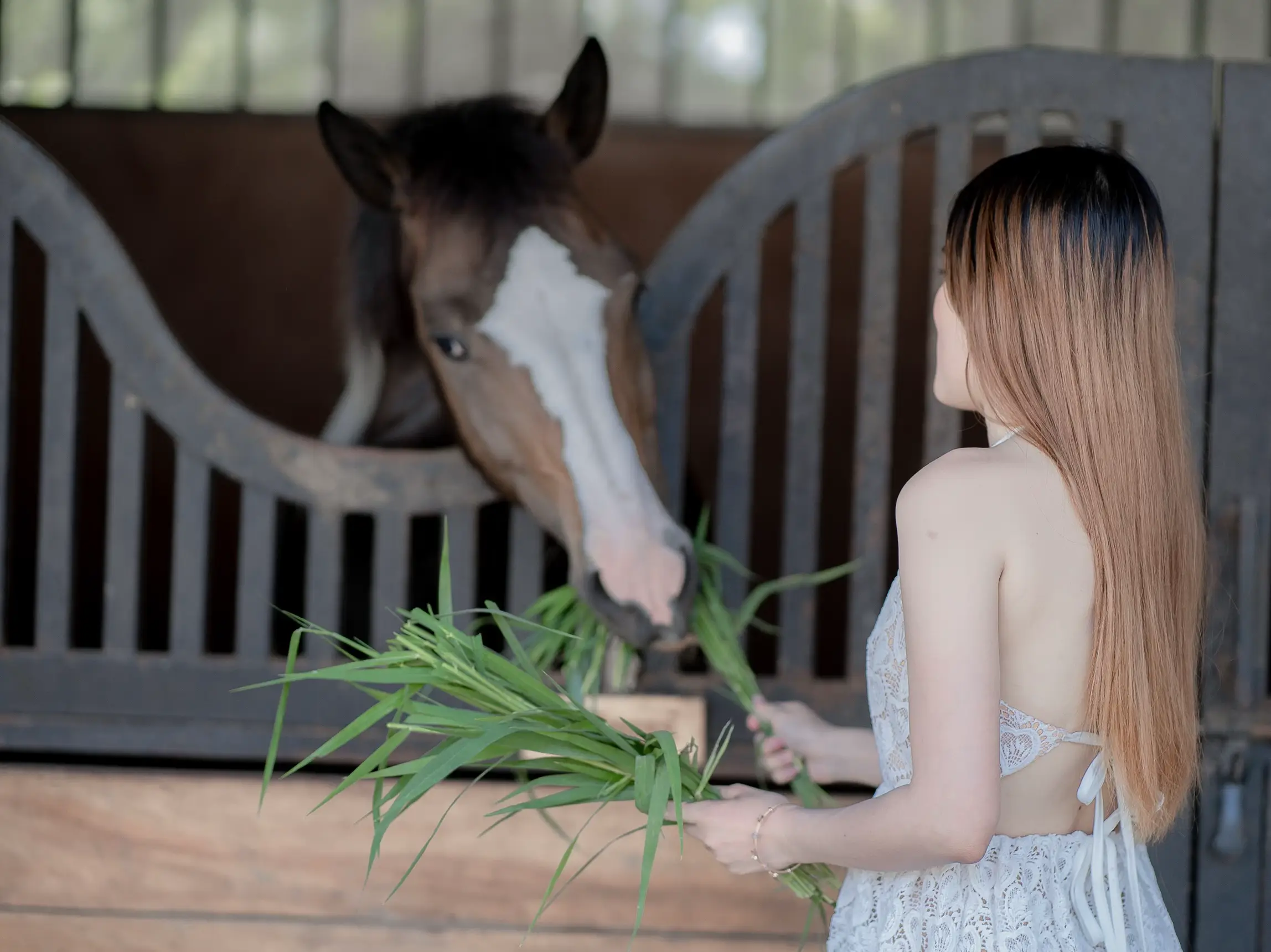 ถ่ายรูปกองเสบียงฟาร์ม ( นครสวรรค์ ) | แกลเลอรีที่โพสต์โดย M♡RISA♡’A | Lemon8