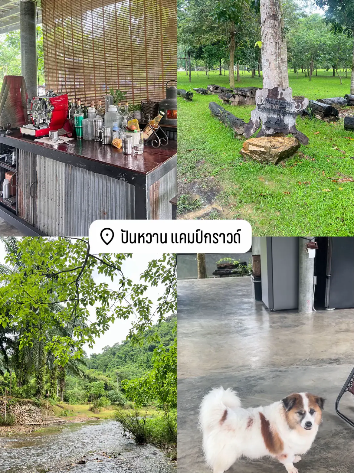 SAFE HAVEN 🏕️ ลานกางเตนท์เขายายเที่ยง 🍃 | แกลเลอรีที่โพสต์โดย MLskk🧸 ...