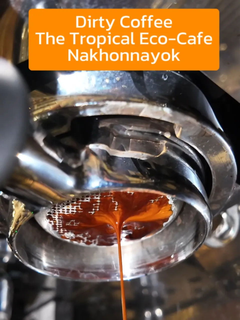 Dirty Coffee | วิดีโอที่เผยแพร่โดย The Tropical | Lemon8
