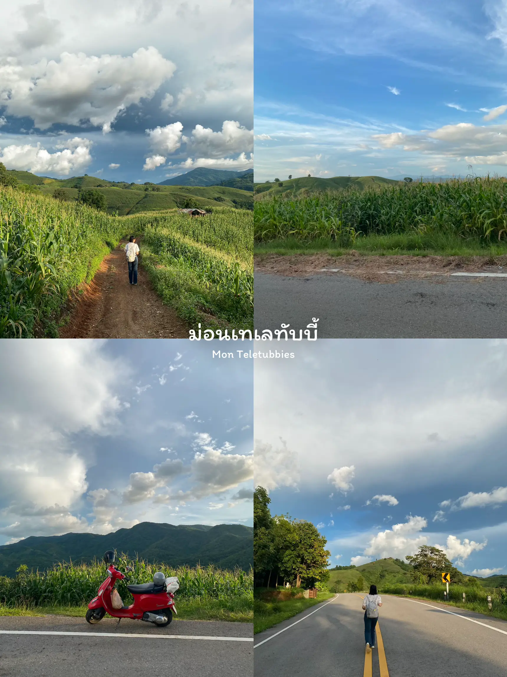 12 พิกัดเที่ยว จ.แพร่ | ฤดูฝน 🏡⛰️🌦️🌈 | แกลเลอรีที่โพสต์โดย ewery.pump ...