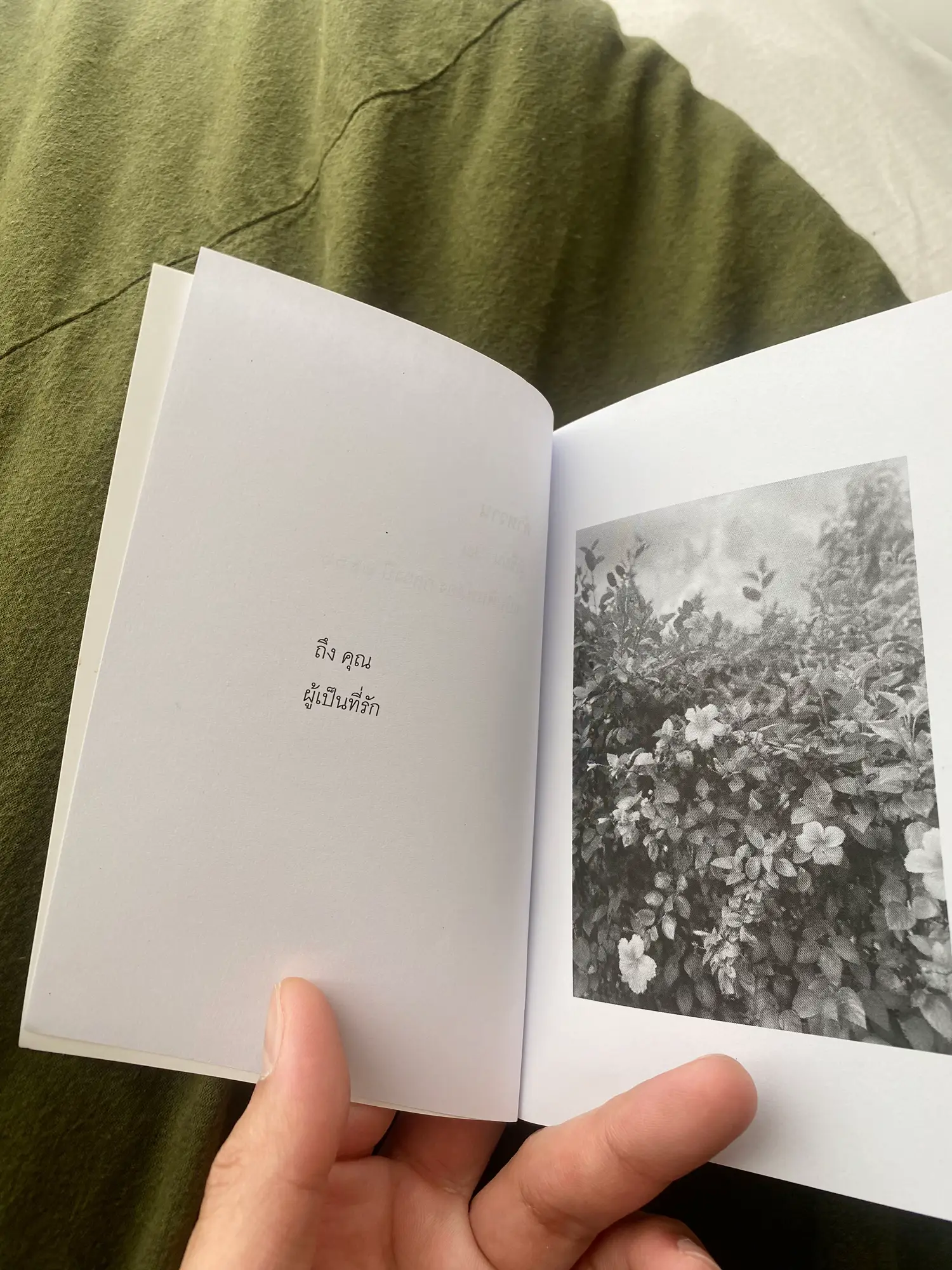 แนะนำหนังสือฉบับคนคลั่งรัก “คำหวาน” | แกลเลอรีที่โพสต์โดย Book.corner | Lemon8