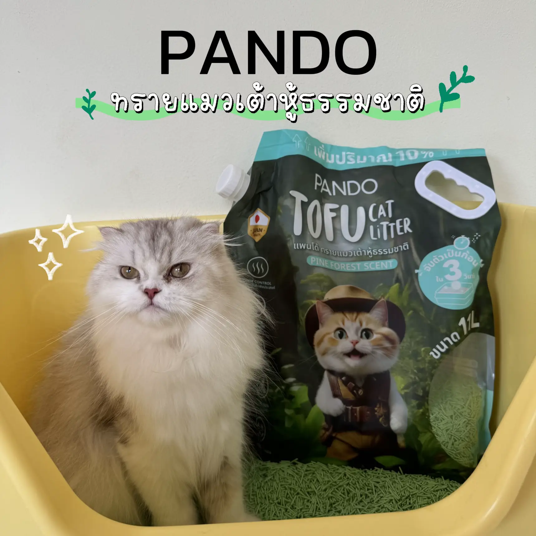 PANDO ทรายแมวเต้าหู้ธรรมชาติ | แกลเลอรีที่โพสต์โดย Gangsammeaw | Lemon8