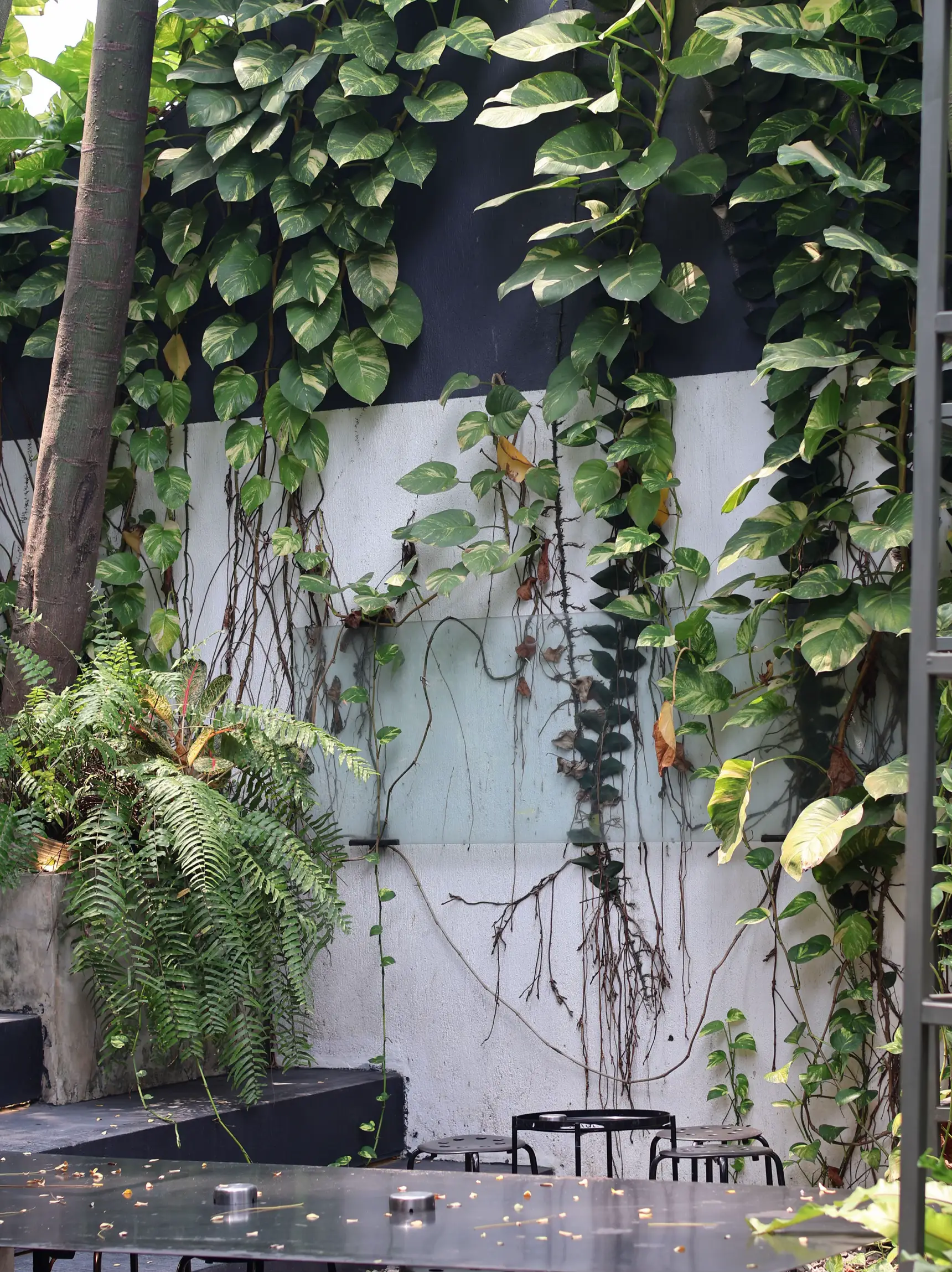 Tanatap Coffee Meruya: โอเอซิสที่ซ่อนตัวในเมืองจาการ์ตา ☕️ | แกลเลอรี ...