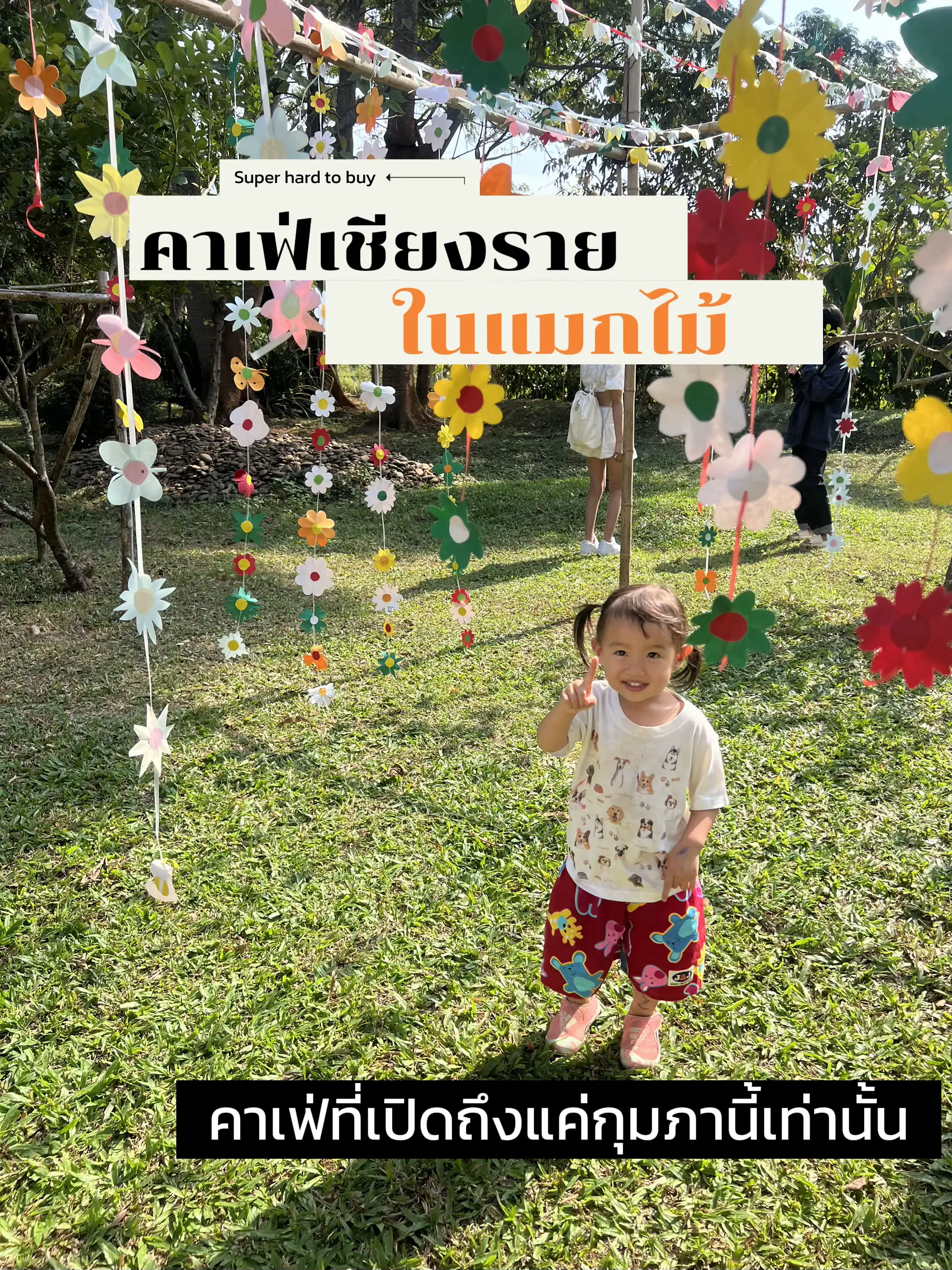 ในแมกไม้ คาเฟ่เชียงราย | แกลเลอรีที่โพสต์โดย bb_bell | Lemon8