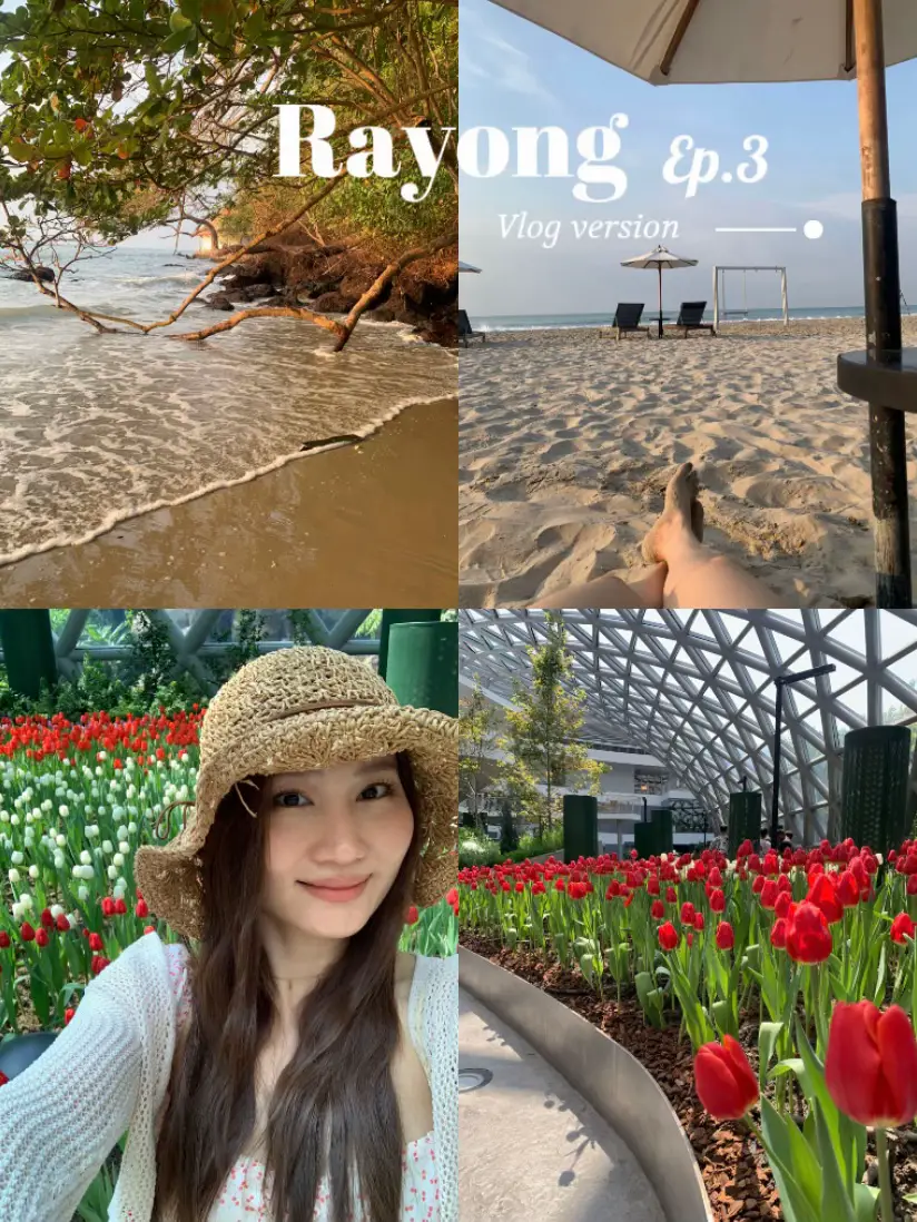 เที่ยวระยอง มีดีกว่าที่คิด ep.3 - vlog version | วิดีโอที่เผยแพร่โดย Tarn Around | Lemon8