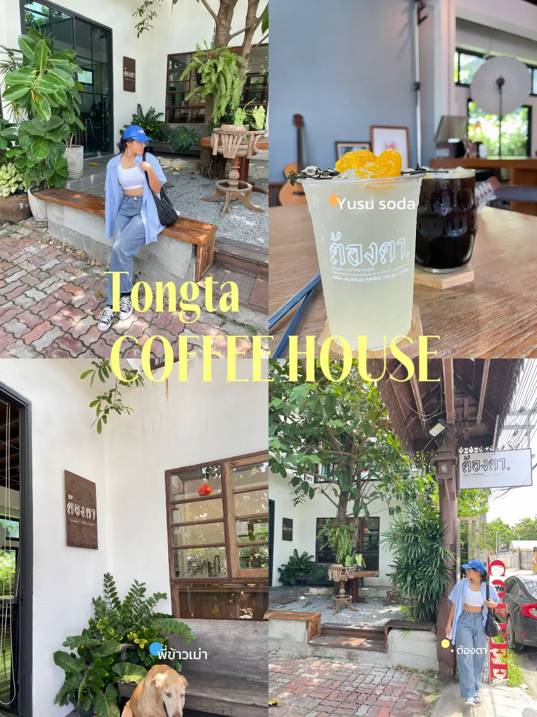 Tongta.coffeehouse •คลองด่าน• | แกลเลอรีที่โพสต์โดย JahAey | Lemon8