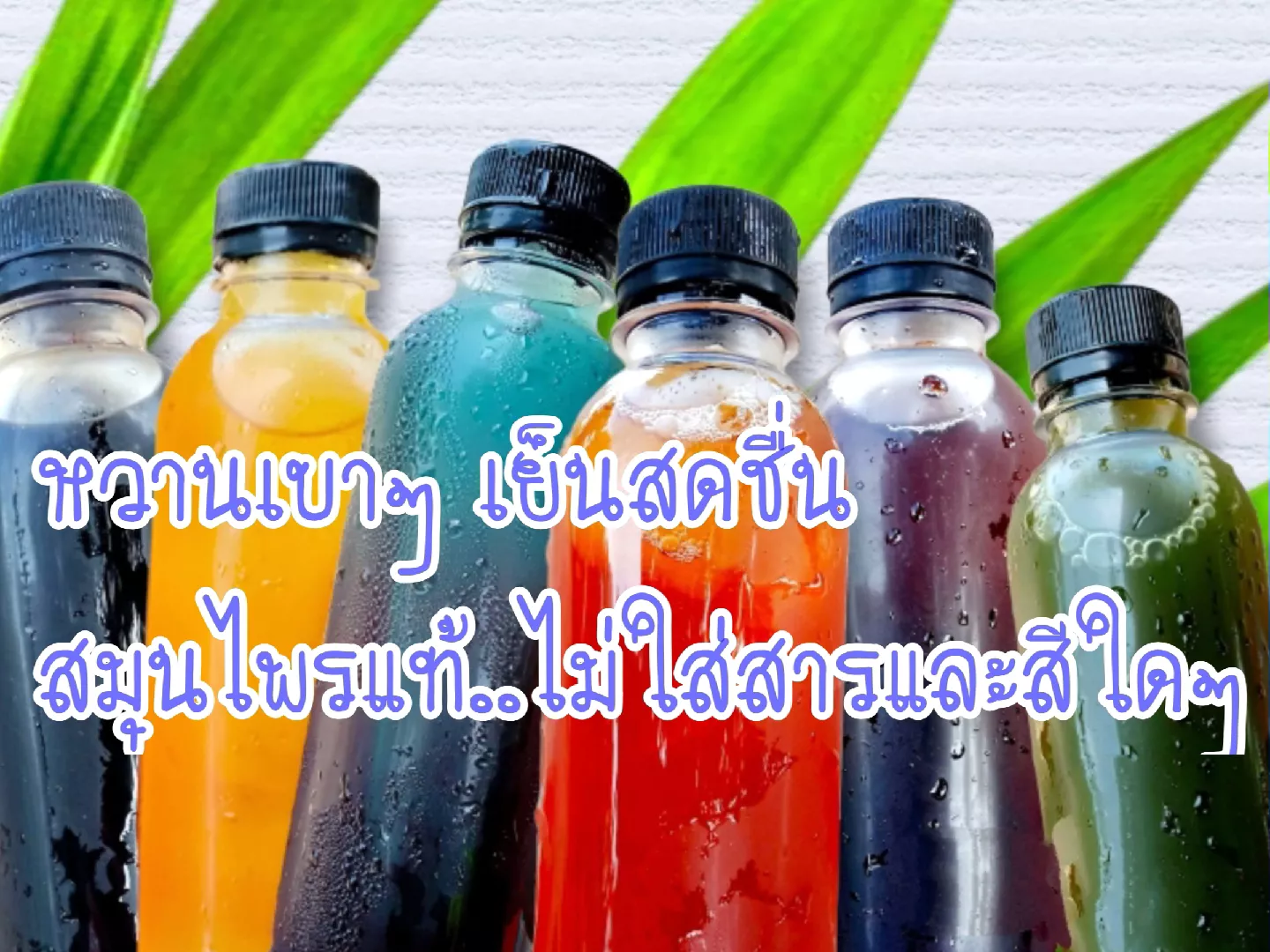 https://wongn.ai/21eDxy | แกลเลอรีที่โพสต์โดย AeedRattiya | Lemon8