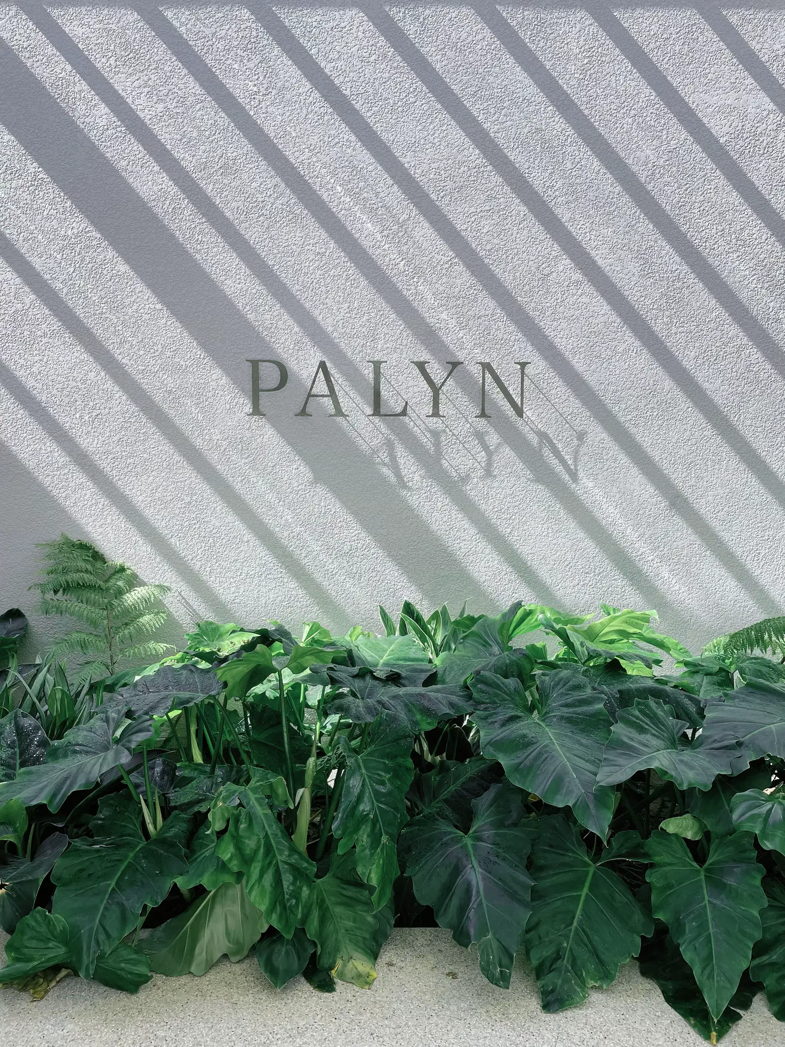 Palyn Cafe & Eatery คาเฟ่แสมสาร | แกลเลอรีที่โพสต์โดย AKIIIAKIRA | Lemon8