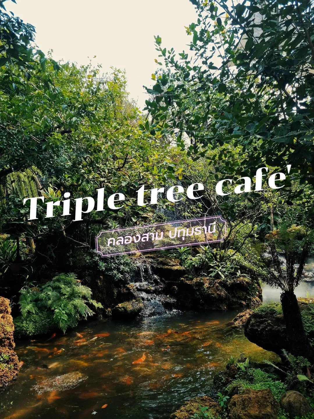 คาเฟ่ปทุมธานี ที่นั่งสบาย | 2025 ประสบการณ์ผู้ใช้จริงบน Lemon8