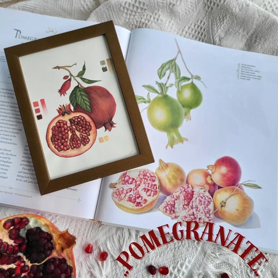 หลงรักรูปวาด Pomegranate (ทับทิม) | แกลเลอรีที่โพสต์โดย oh_my_PJ | Lemon8
