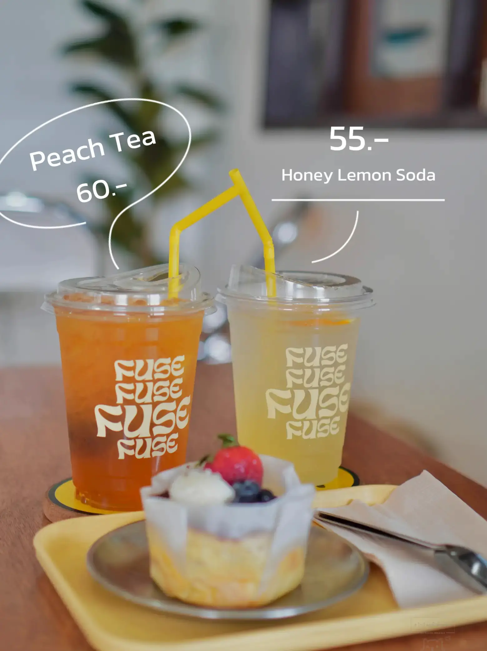 FUSE | แกลเลอรีที่โพสต์โดย Gnarpam ツ | Lemon8