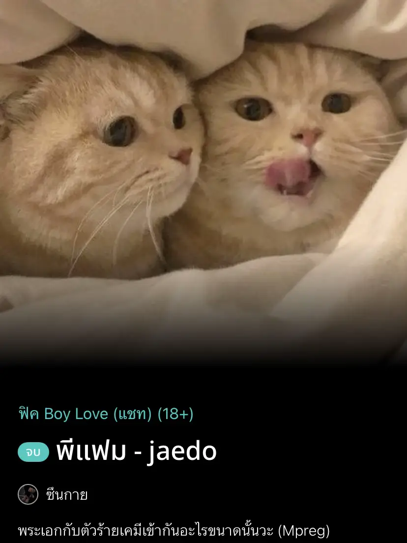 รีวิวฟิคคุณไรท์คนโปรด 🫶🏻 | jaedo EP.2💖 | แกลเลอรีที่โพสต์โดย JN. | Lemon8