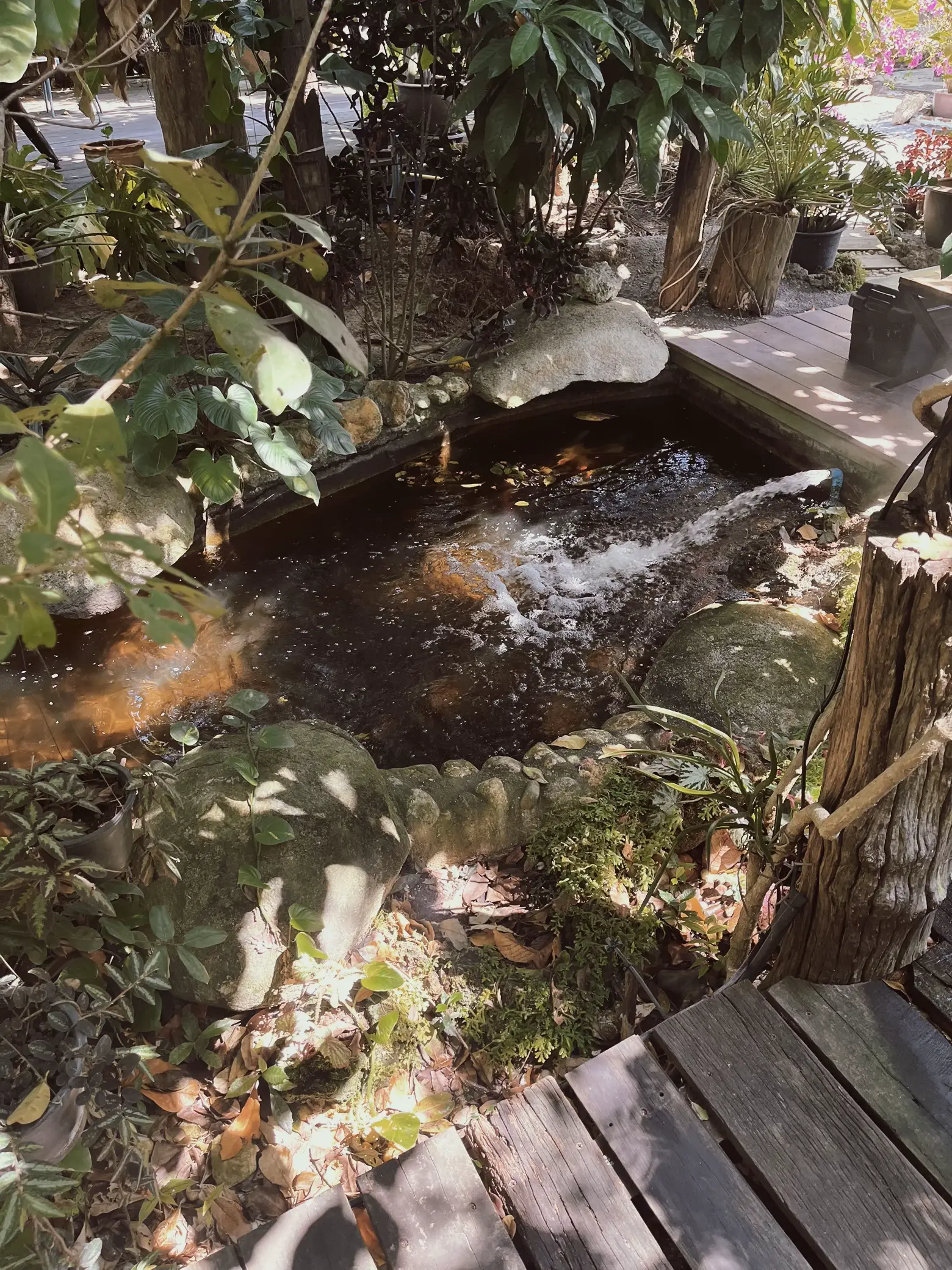 The 13 coffee & chill | คาเฟ่ชลบุรี |พนัสนิคม | แกลเลอรีที่โพสต์โดย Little Grape | Lemon8