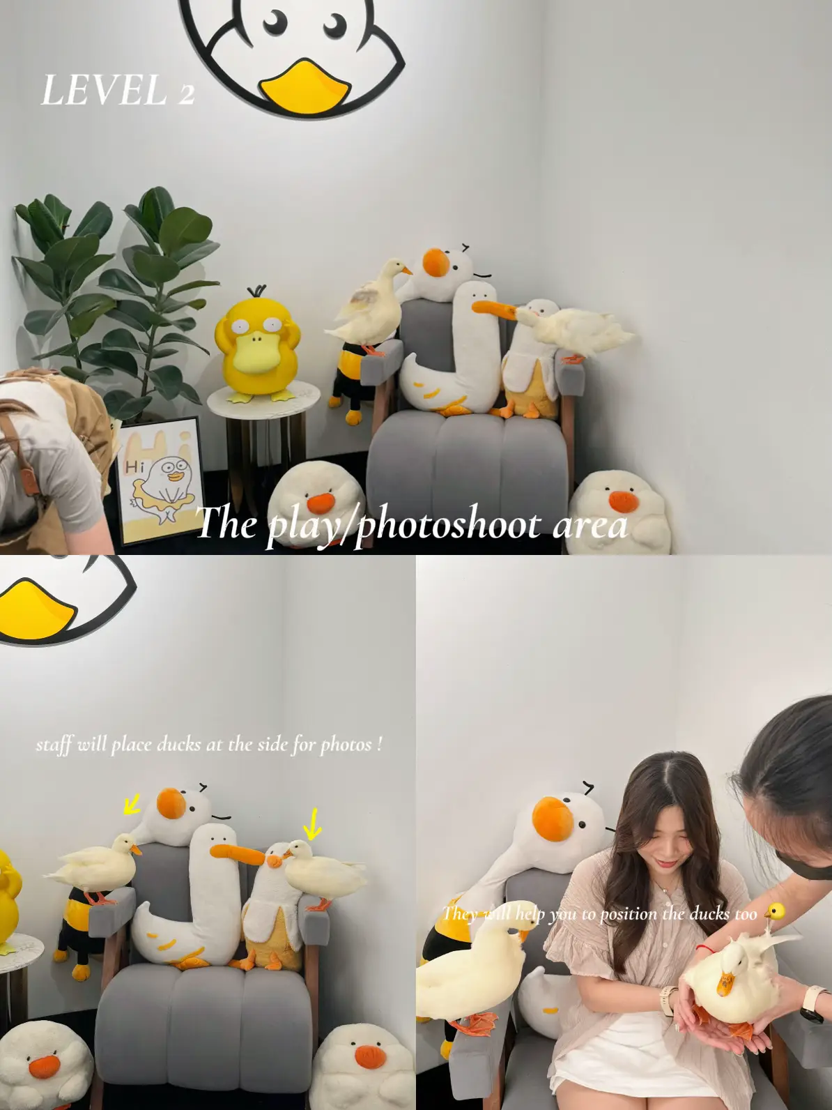 FIRST EVER DUCK CAFE 🐤 A MUST MUST GO! 📌 | Gallery posted by Joannehsm ...