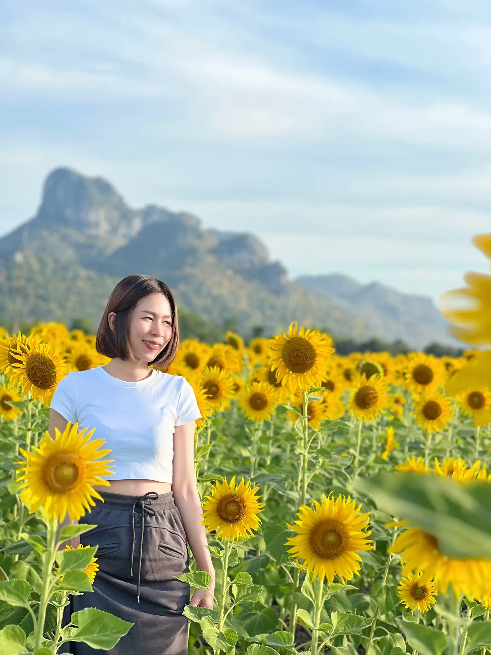 ทุ่งทานตะวันลพบุรี | แกลเลอรีที่โพสต์โดย Lada_🤍 | Lemon8