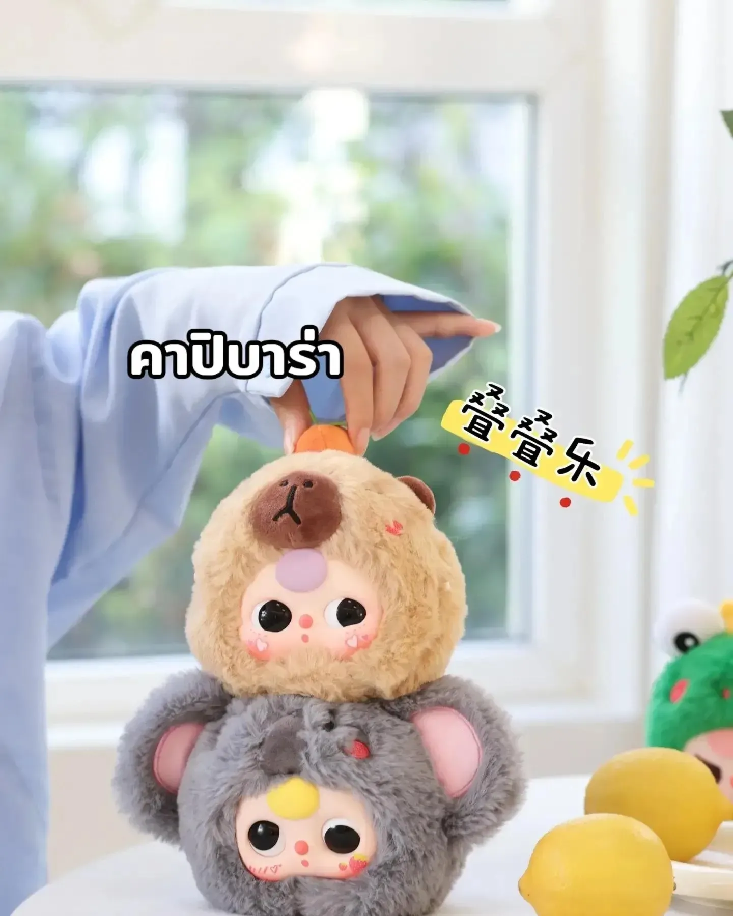 คลอดแล้วจ้าาาา baby three V.2 | แกลเลอรีที่โพสต์โดย Benz Mc | Lemon8