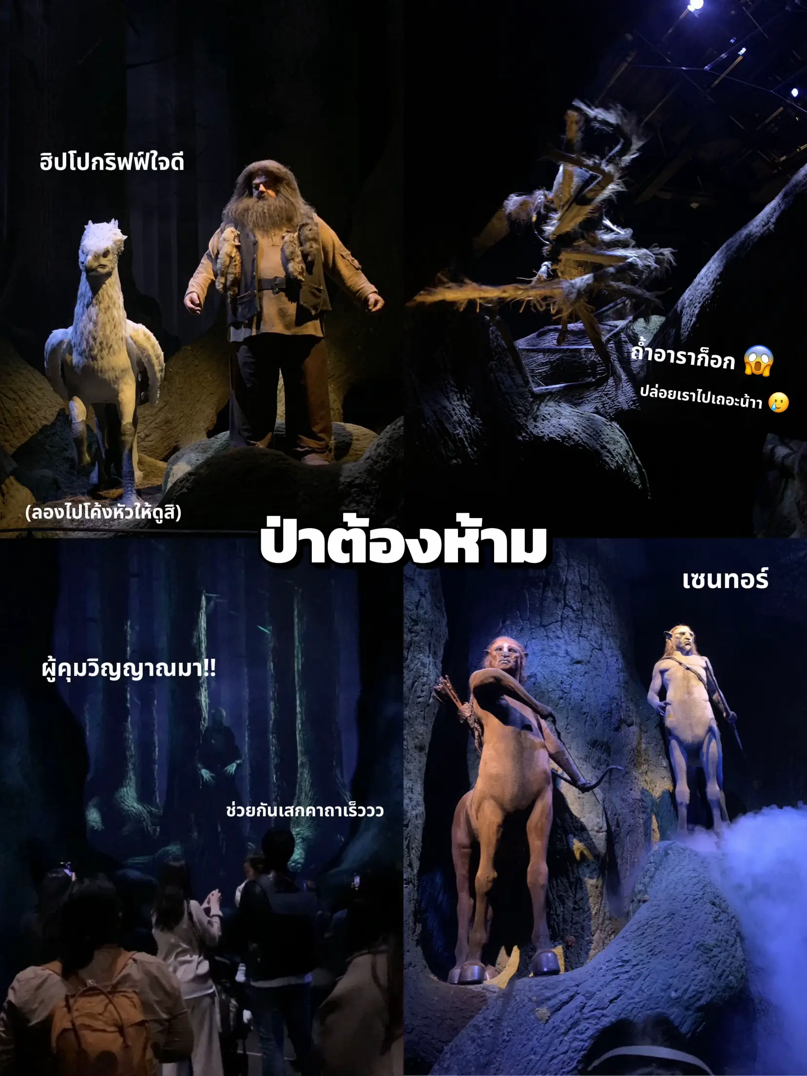 รีวิว Harry Potter Studio Tokyo 🇯🇵 ใหญ่ที่สุดในโลก!!! | แกลเลอรีที่โพสต์โดย effe enne 🥨 | Lemon8