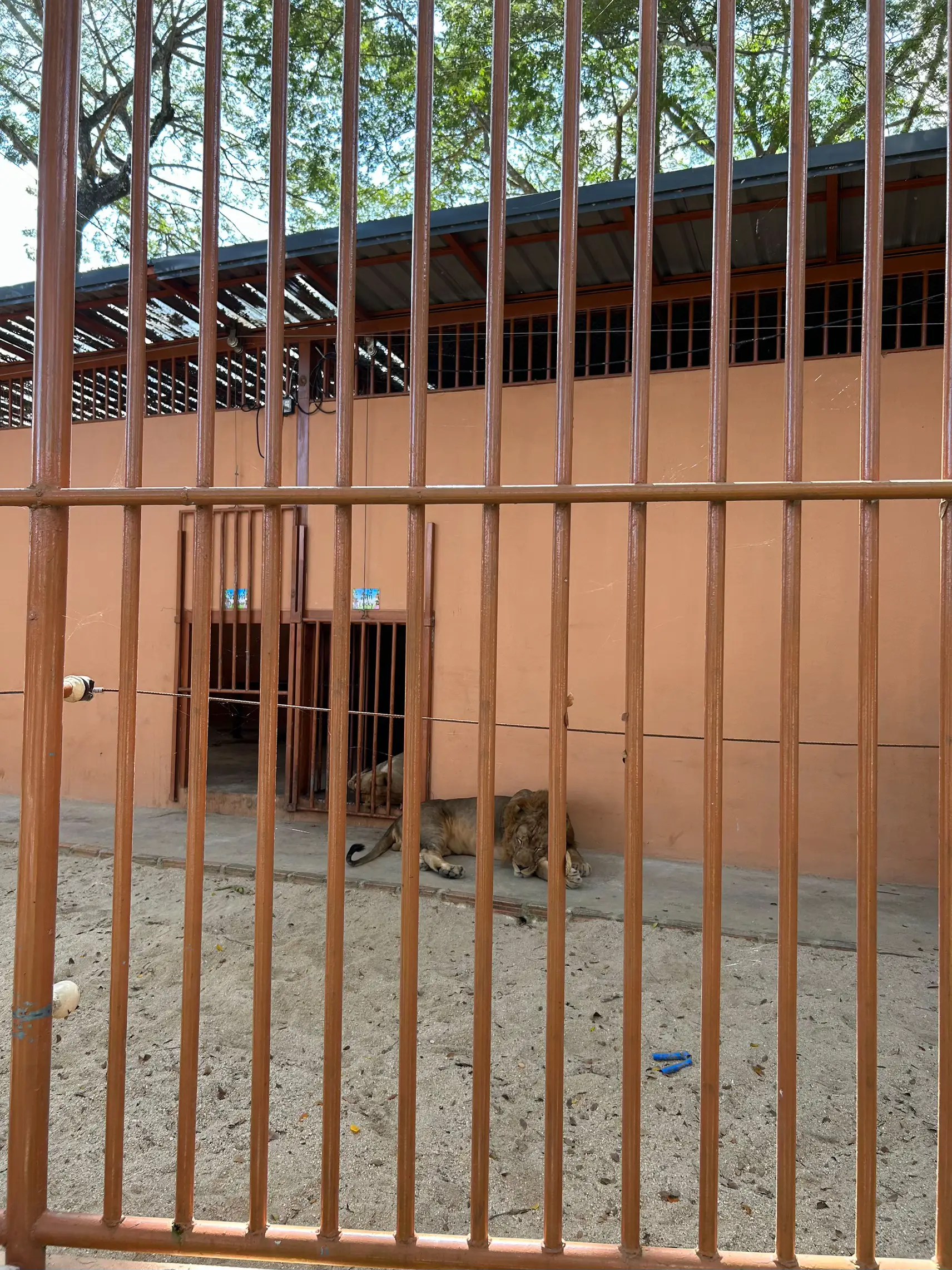 ภูกลอง ฮิลล์ | แกลเลอรีที่โพสต์โดย 1998 | Lemon8