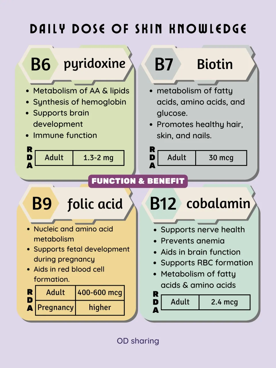 Vitamin B l Metabolism | แกลเลอรีที่โพสต์โดย Once Dictionary | Lemon8
