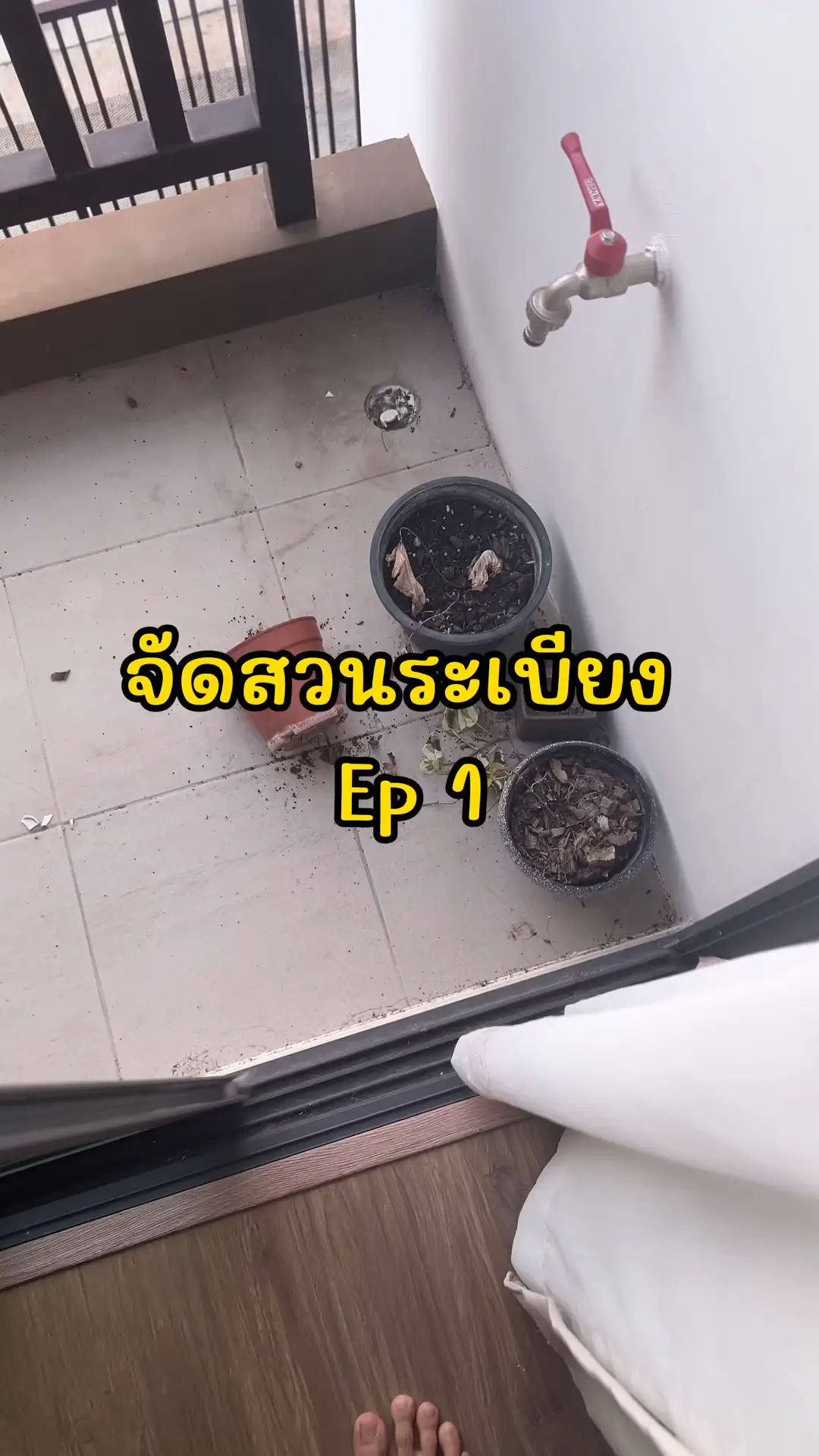 จัดสวนระเบียง EP 1 | วิดีโอที่เผยแพร่โดย 💘 JANECHN | Lemon8