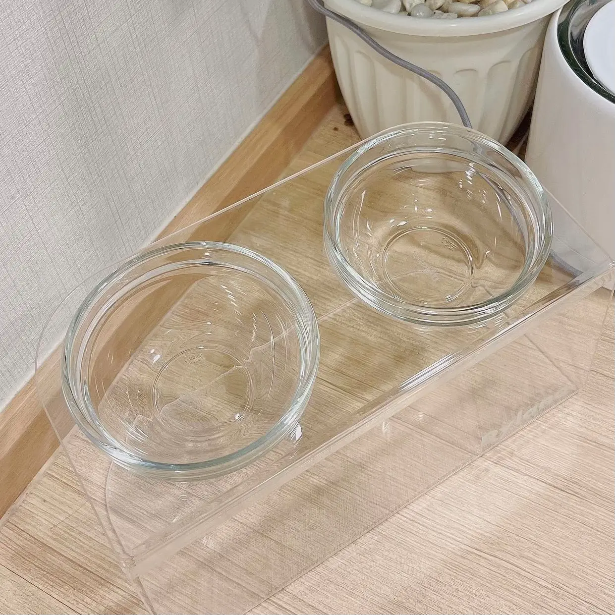 รีวิวชามอาหารยกสูงแบบใส Dylano | แกลเลอรีที่โพสต์โดย มังคุดมนุษย์แมว ...