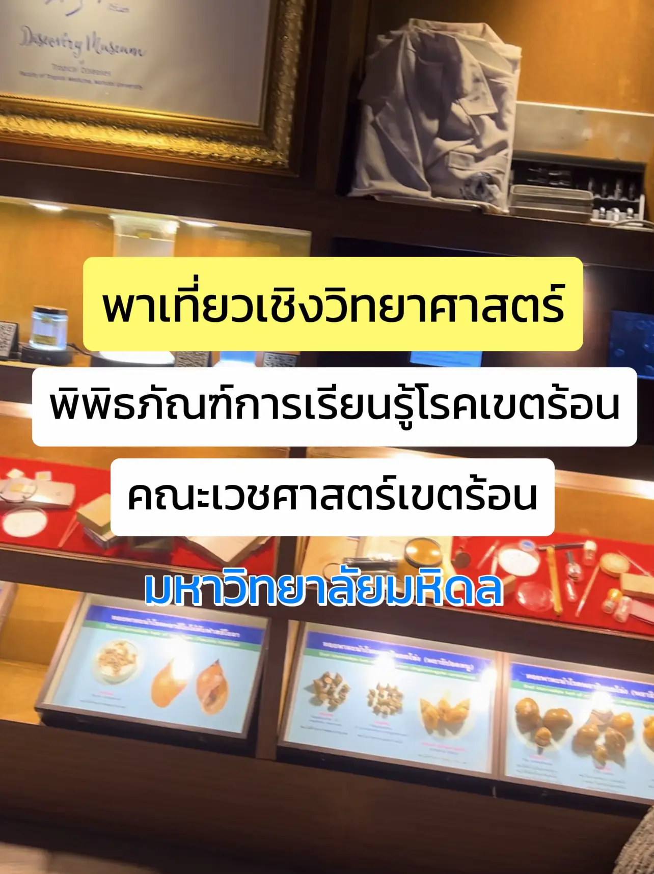 พิพิธภัณฑ์การเรียนรู้โรคเขตร้อน มหิดล | แกลเลอรีที่โพสต์โดย bb_bell | Lemon8