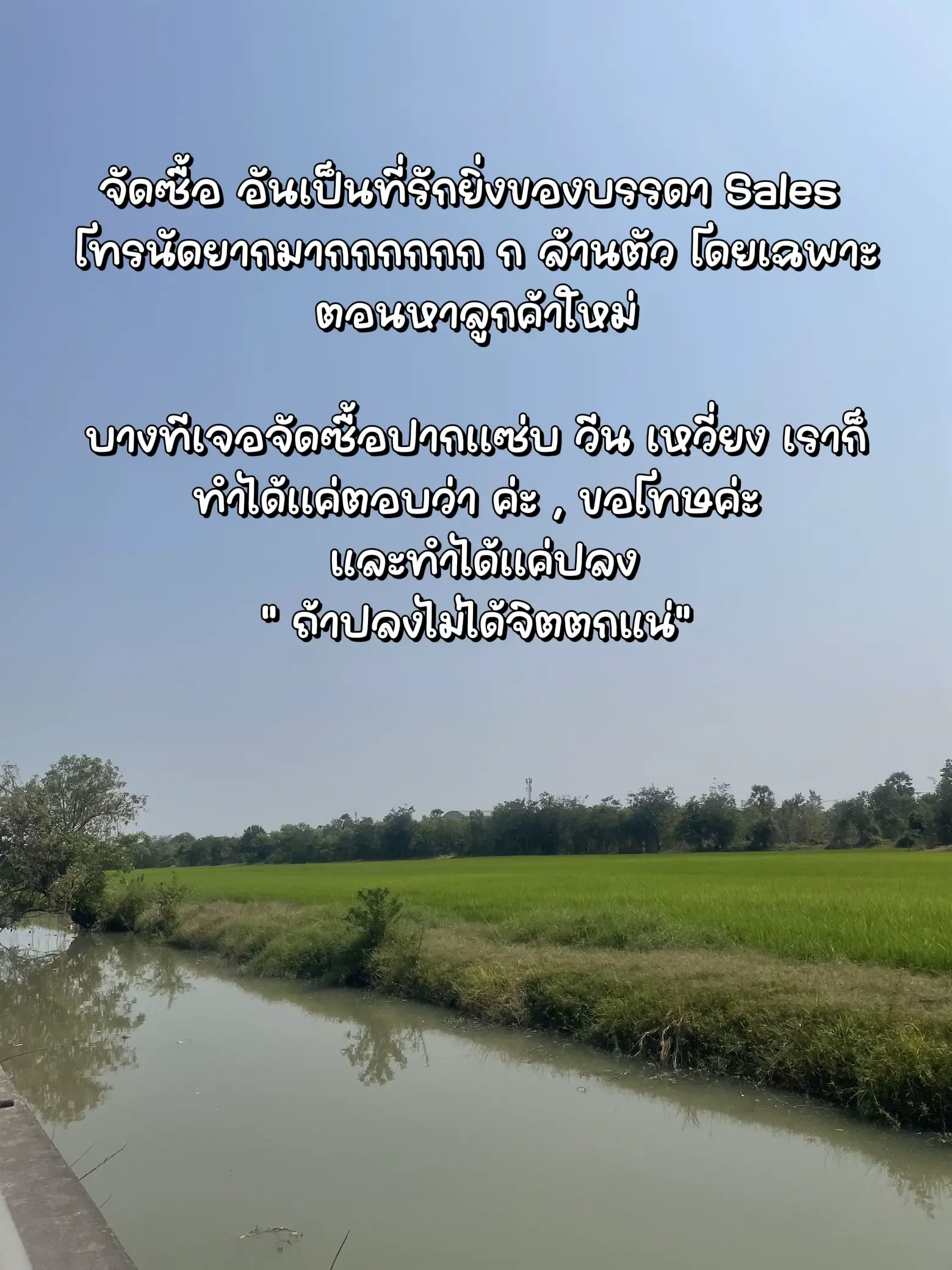 อย่าพึ่ง !! มาเป็น Sales ถ้ายังไม่รู้สิ่งนี้ 🤩 | แกลเลอรีที่โพสต์โดย 🍦Kero(コッブ) 94⛵️ | Lemon8