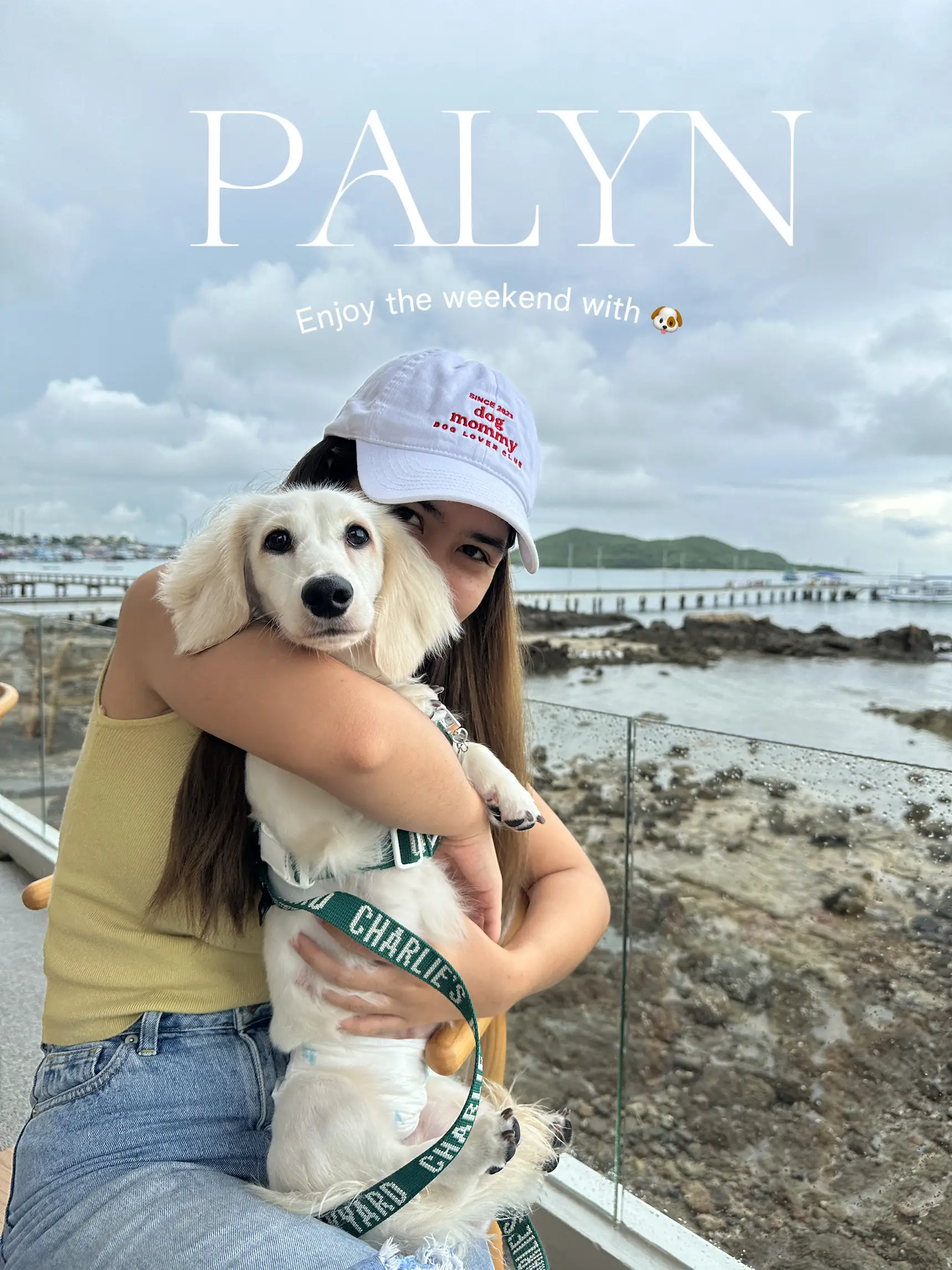 PALYN คาเฟ่เปิดใหม่ชลบุรี | แกลเลอรีที่โพสต์โดย แก๊งสี่กุมาร 🐶 | Lemon8