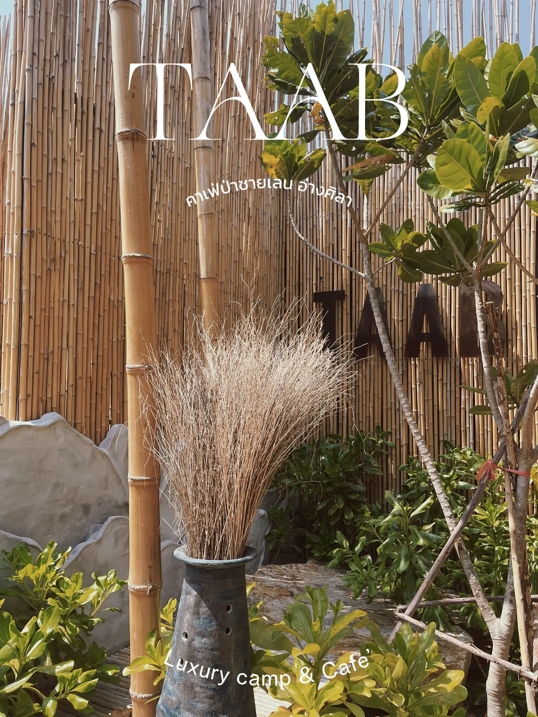 TAAB Cafe’ คาเฟ่อ่างศิลา | แกลเลอรีที่โพสต์โดย Miew | Lemon8