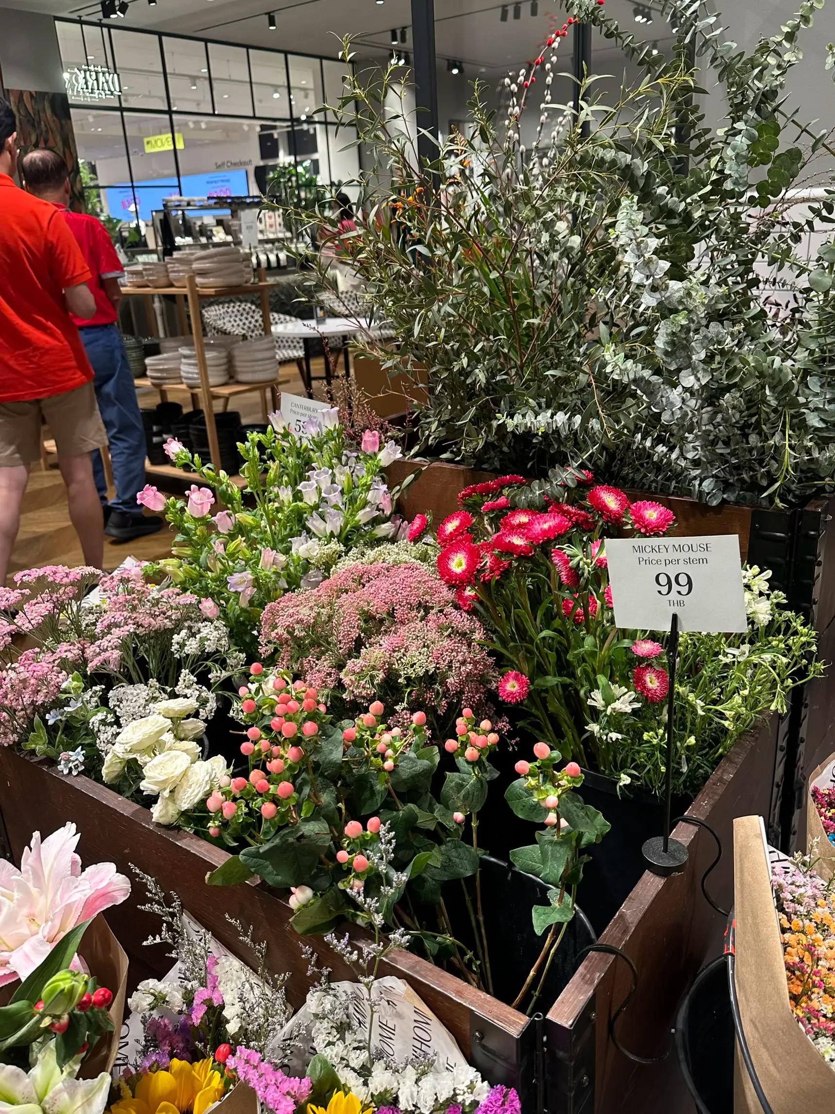 อัปเดตราคาดอกไม้ ที่ HM Home 💐🌻 มันน่ารักนุ้บนิ้บไปหมดดดด 🌿 | แกลเลอรี ...