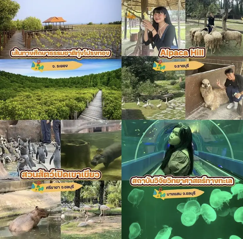 แจกทริป! 10 ที่เที่ยวครอบครัว👨‍👩‍👧‍👦 | แกลเลอรีที่โพสต์โดย Proxumer | Lemon8