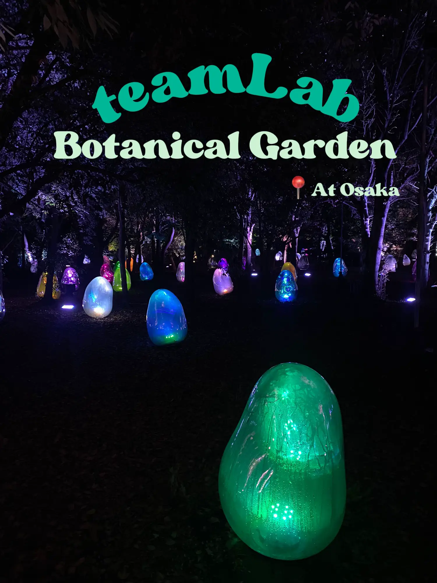 teamLab Botanical Garden ชมงานศิลป์ที่ Osaka | แกลเลอรีที่โพสต์โดย ...