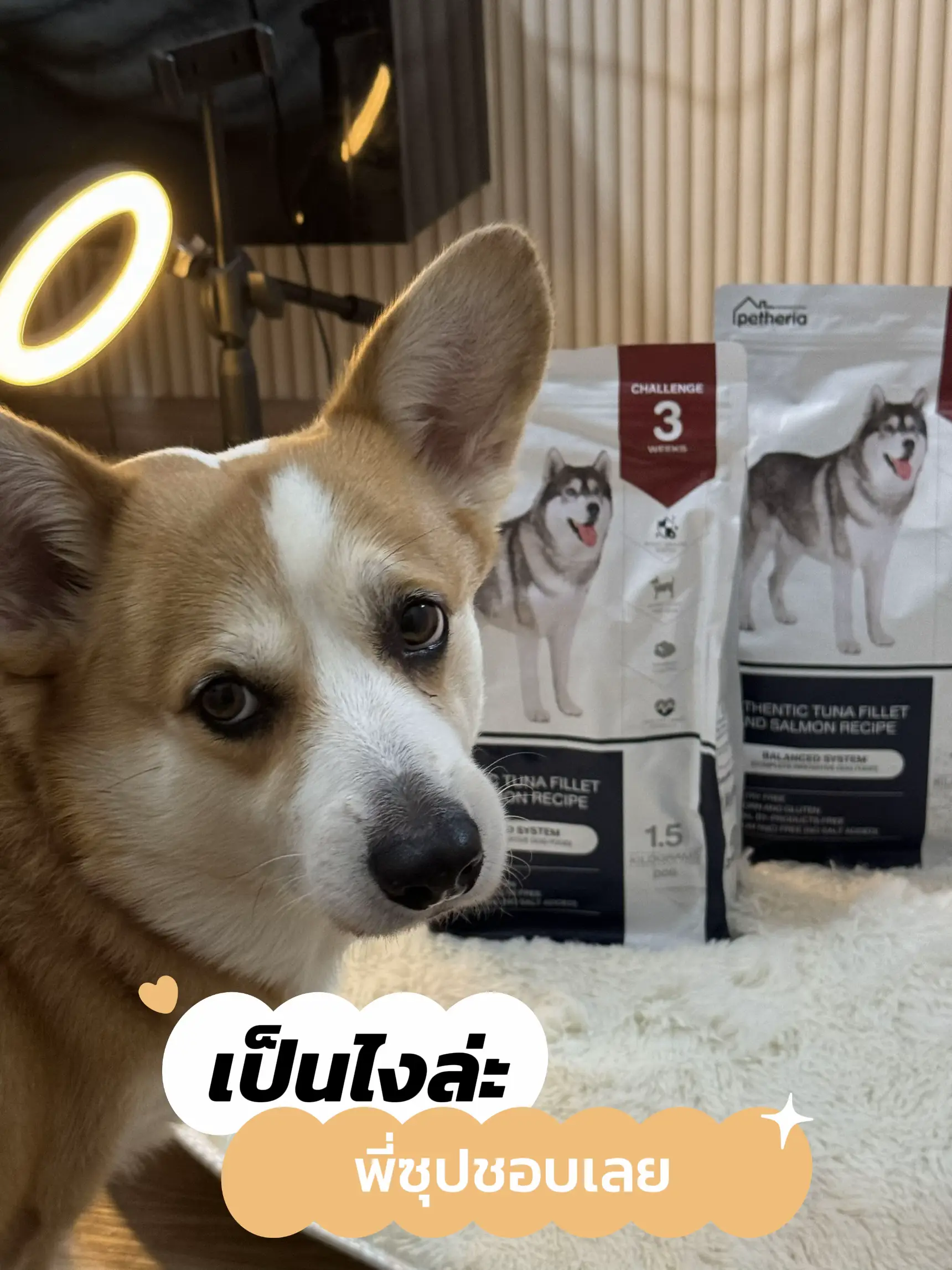 ป้ายยาอาหารสุนัข petheria | แกลเลอรีที่โพสต์โดย เฟินนารี่รีวิว | Lemon8