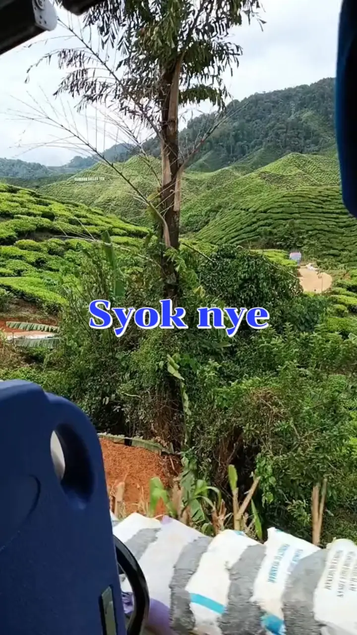 Tuk Tuk | Video diterbitkan oleh marleeya | Lemon8