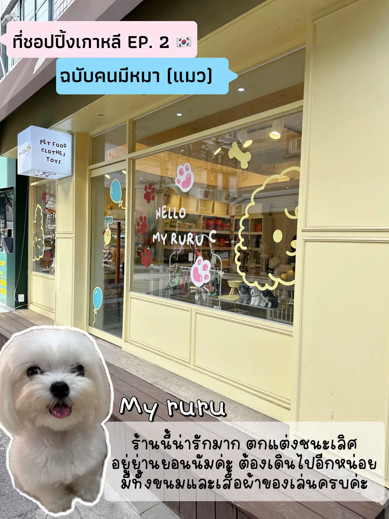 🇰🇷🐶 เที่ยวเกาหลี ร้านของฝากเจ้าหมา EP.2 | แกลเลอรีที่โพสต์โดย polar ...