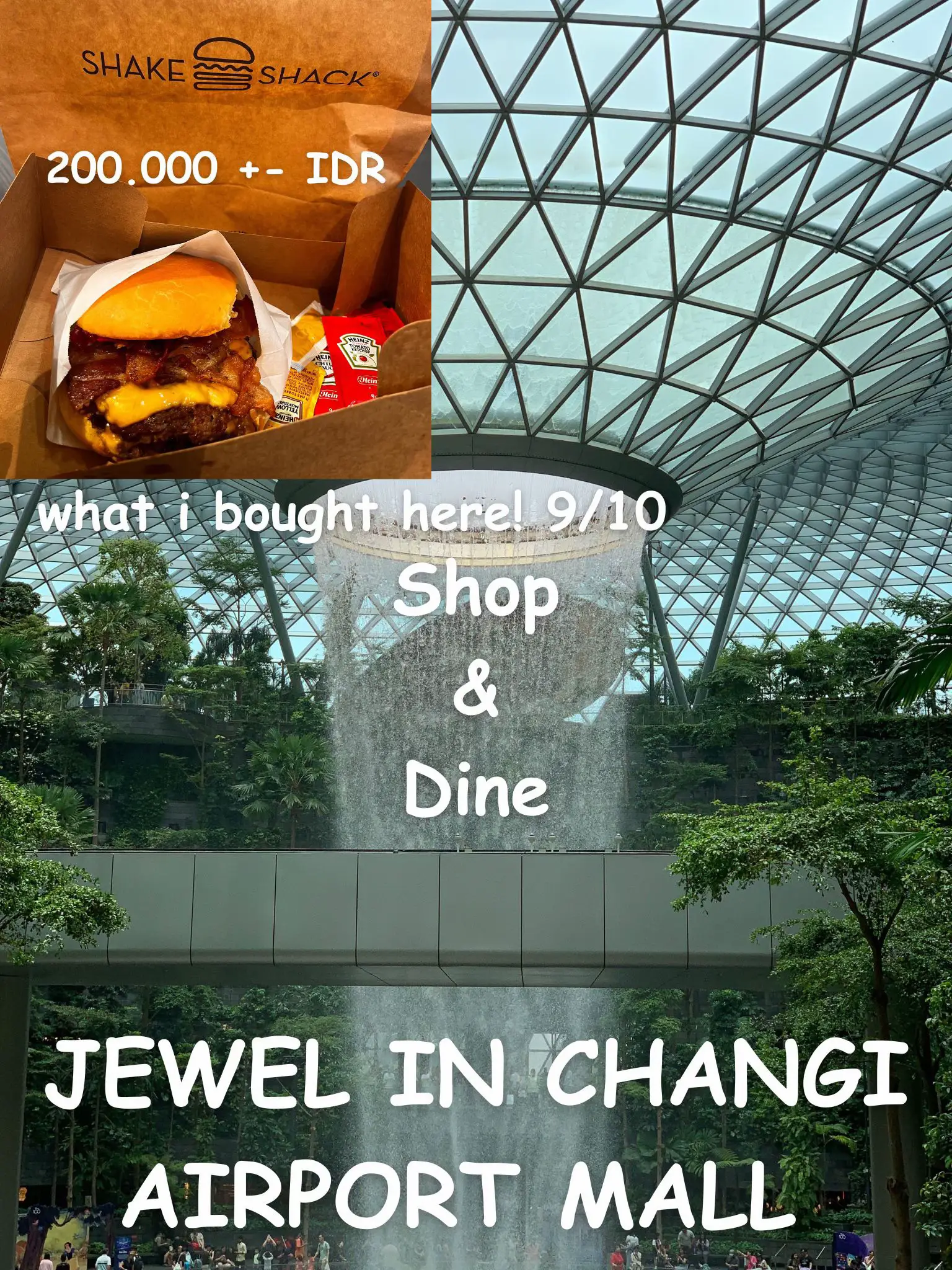 Half Dome view - Pencarian Lemon8