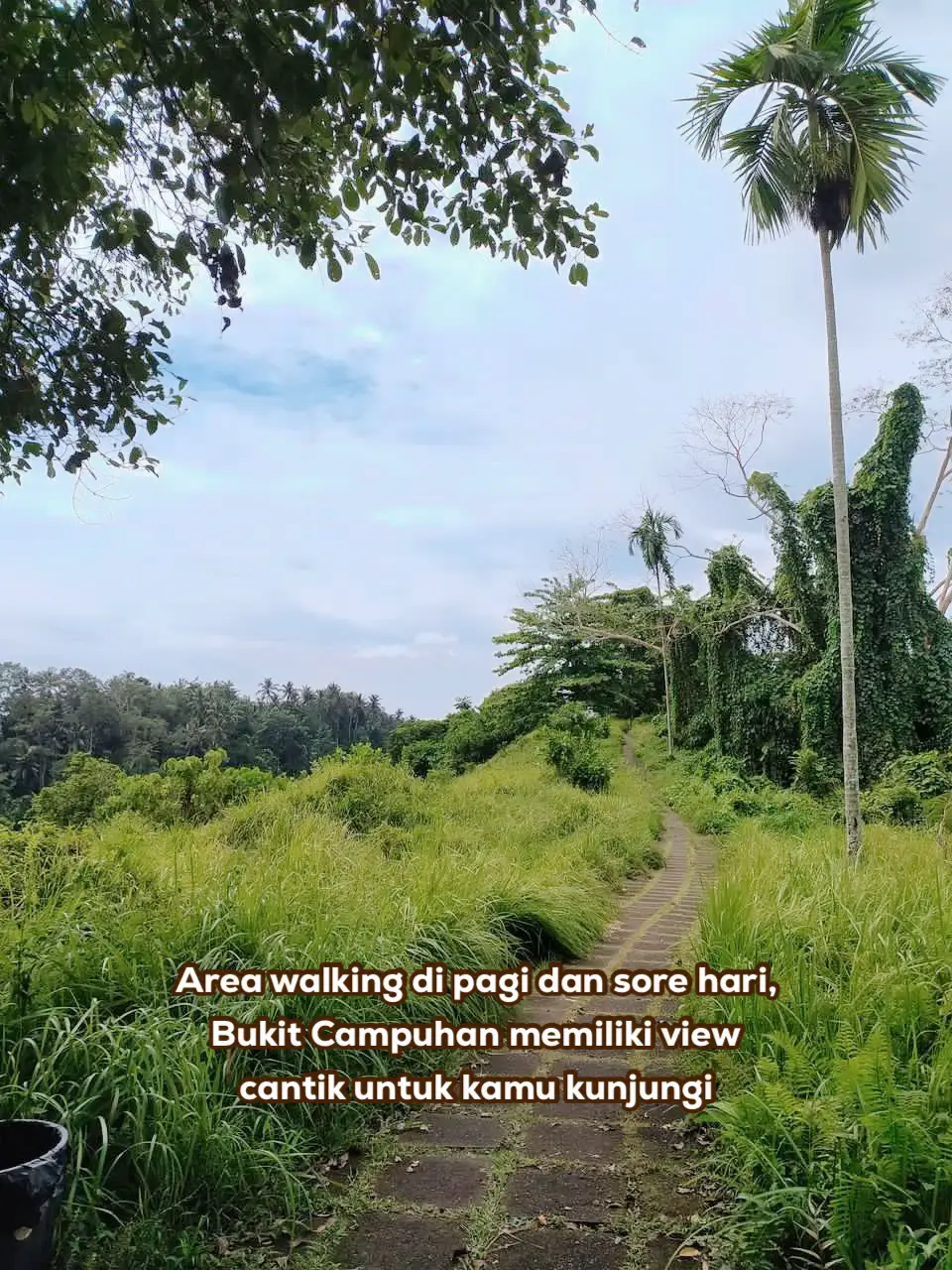 Liburan ke Ubud - Bali Kemana Aja Ya ? | Galeri diposting oleh ...