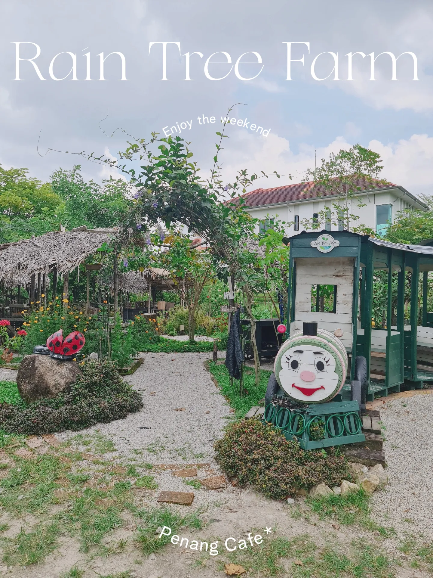 Rain Tree Farm Penang very cozy farm to visit | Galeri disiarkan oleh Misa ʕ •ᴥ•ʔゝ☆ | Lemon8