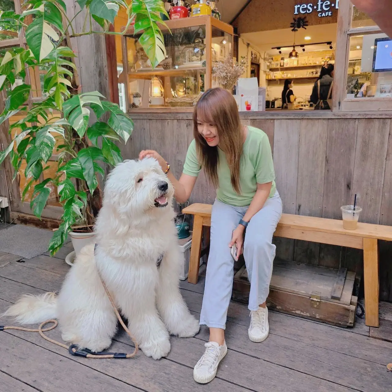 คาเฟ่ในสวน Resfeber Cafe’ ลำลูกกา 11 ปทุมธานี | แกลเลอรีที่โพสต์โดย T a r ' 🐰 | Lemon8