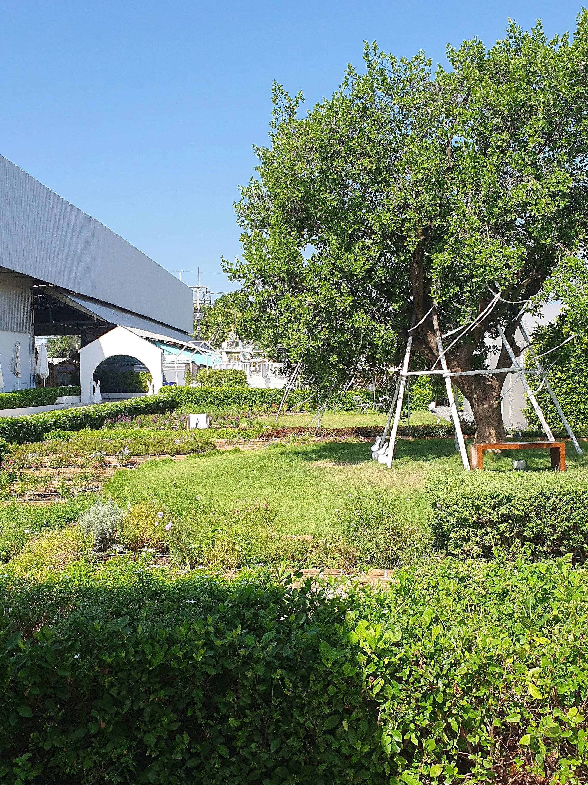 lemon me farm cafe | แกลเลอรีที่โพสต์โดย รถสวย ฟรีดาวน์ | Lemon8