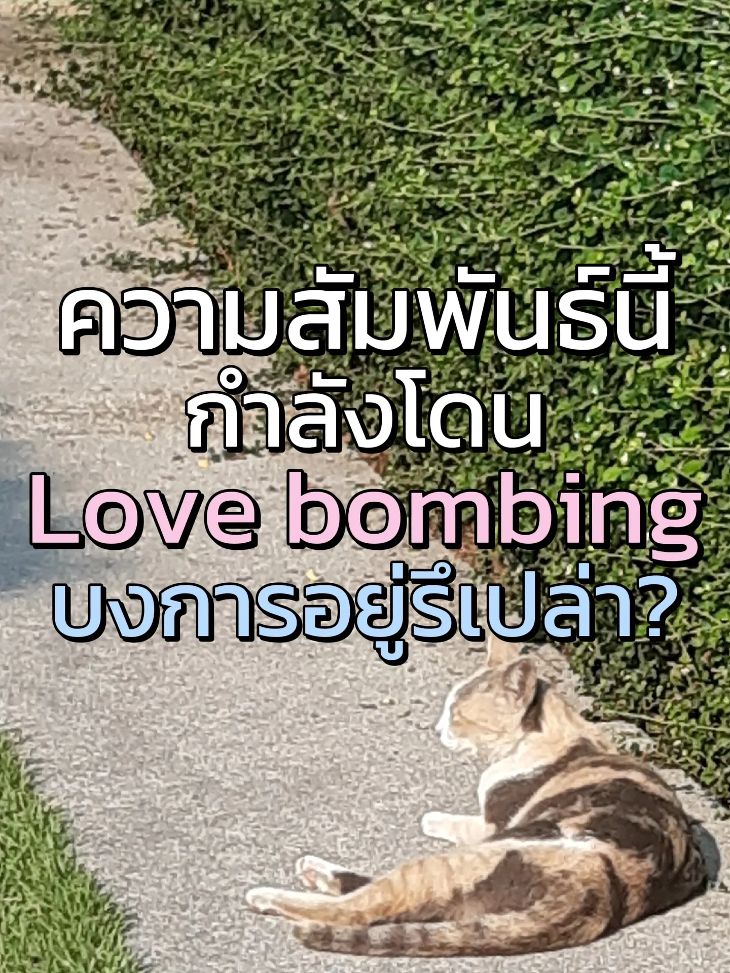 คสพ.นี้ กำลังโดน Love bombing บงการอยู่รึเปล่า? | แกลเลอรีที่โพสต์โดย ...