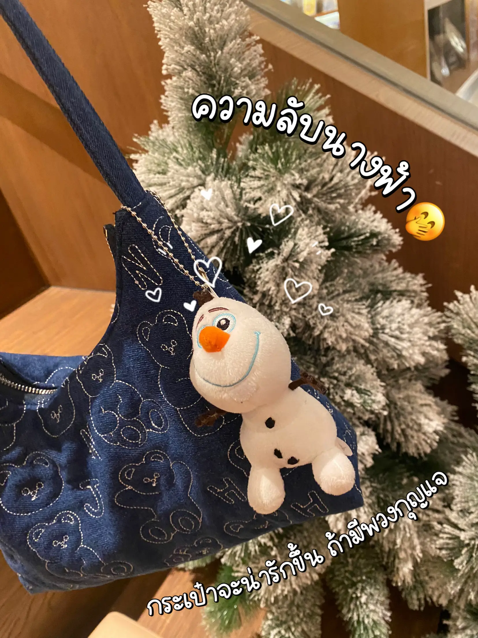 กระเป๋า hej_bonnie 👜 | แกลเลอรีที่โพสต์โดย Come with Mhee | Lemon8